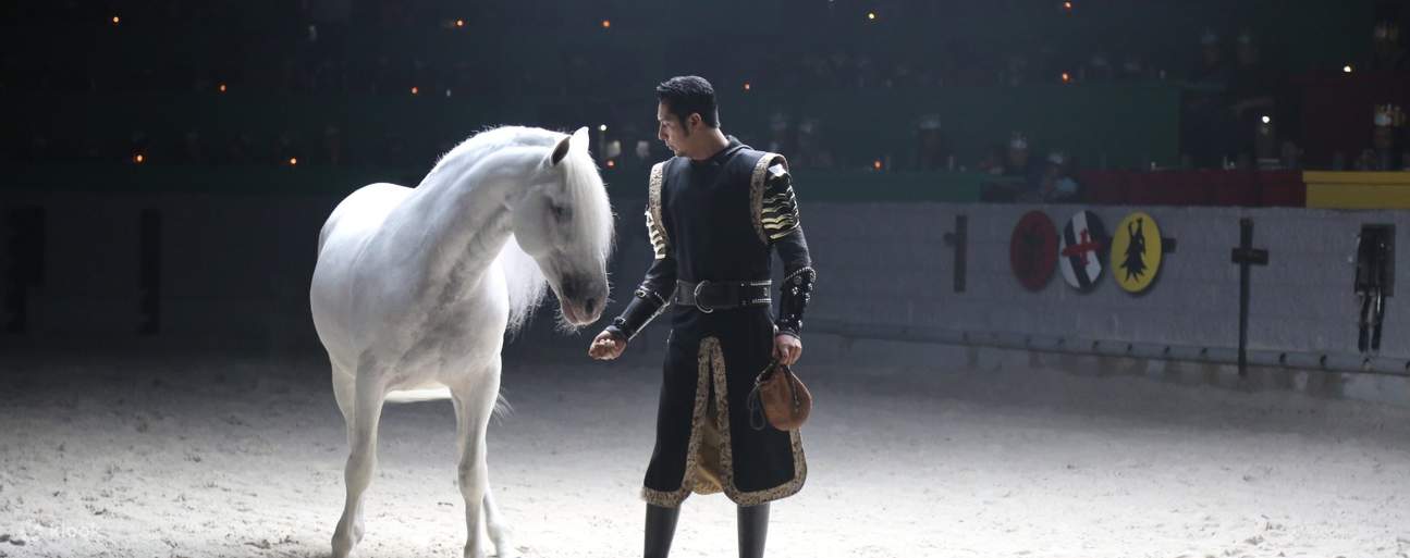 Medieval Times Dinner and Tournament in Toronto - Klook
