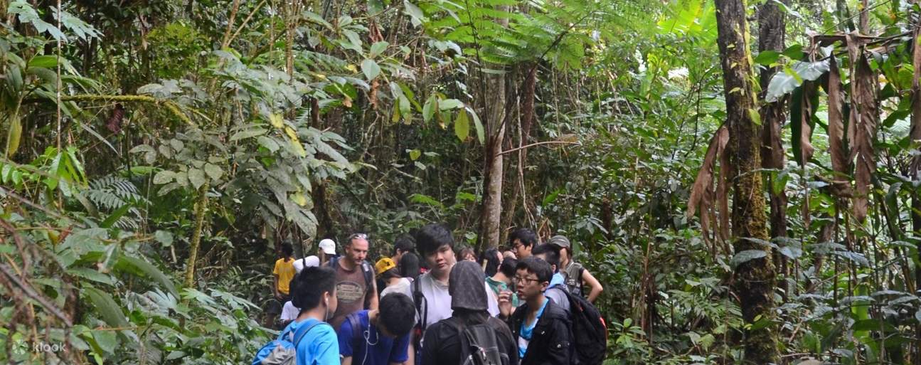 Rafflesia Half Day Trekking Trip in Cameron Highlands, Malaysia - Klook