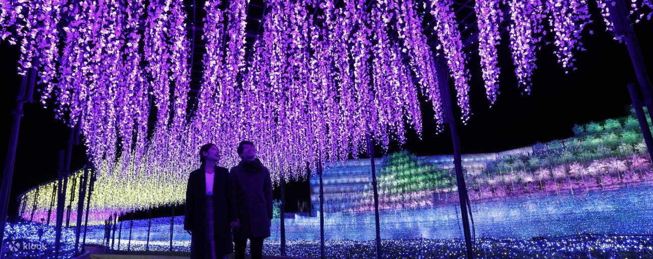 Nabana no Sato: Winter Illumination Ticket in Kuwana - Klook
