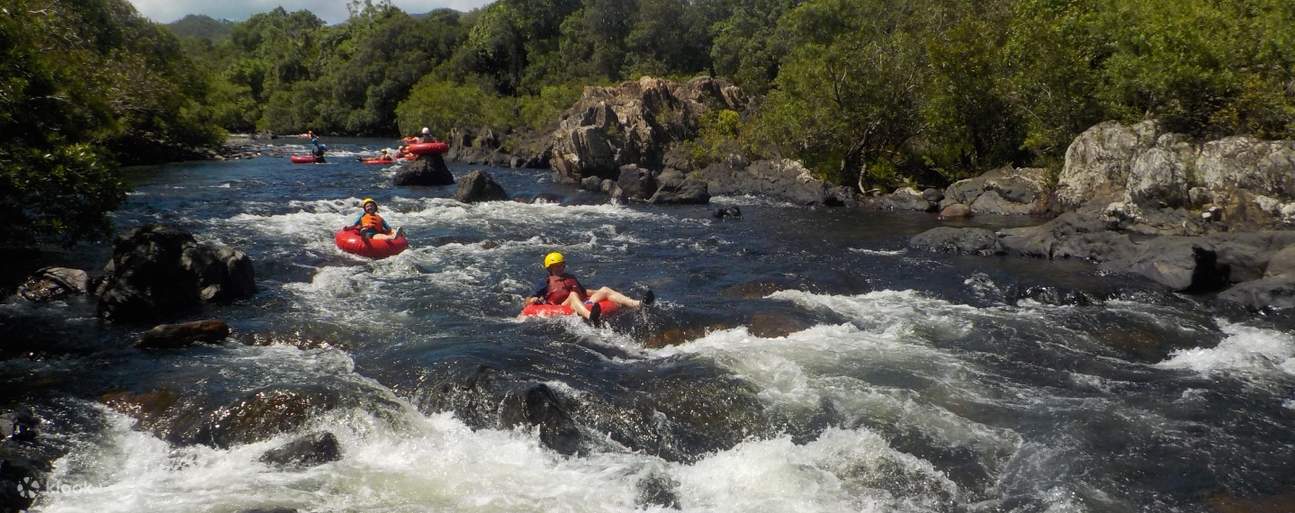 Mulgrave River Tubing Experience from Cairns or Northern Beaches ...