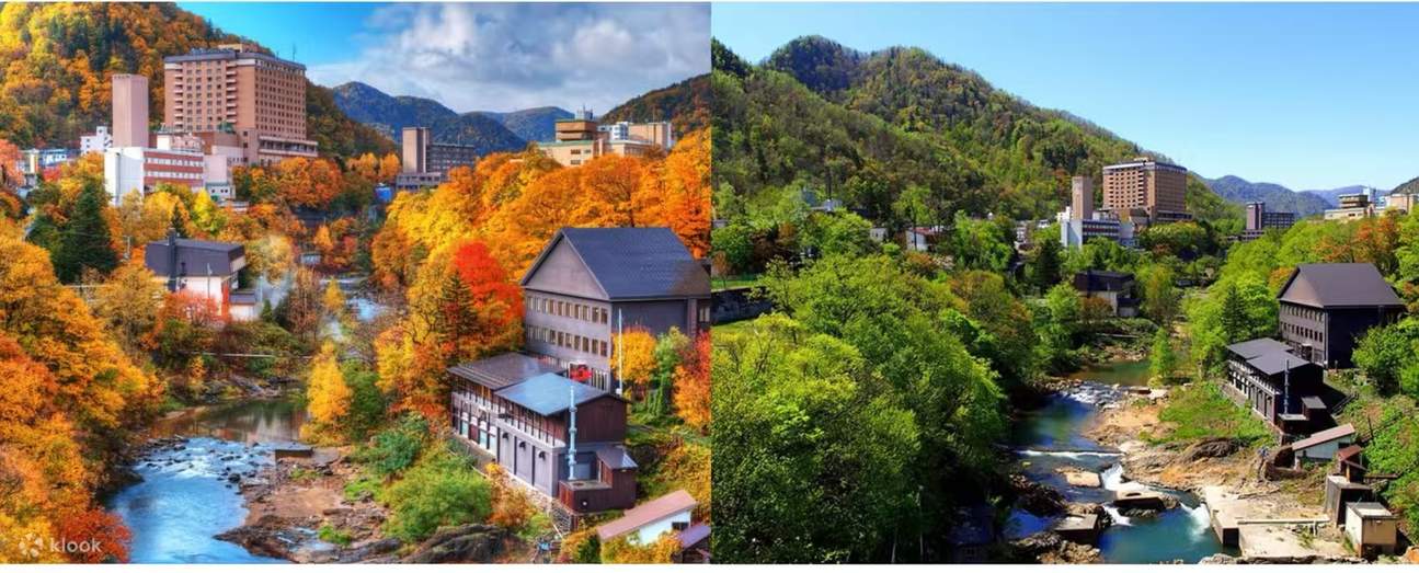 Hokkaido Jingu Shrine, Jozankei, and Kakui Market Day Tour from Sapporo ...