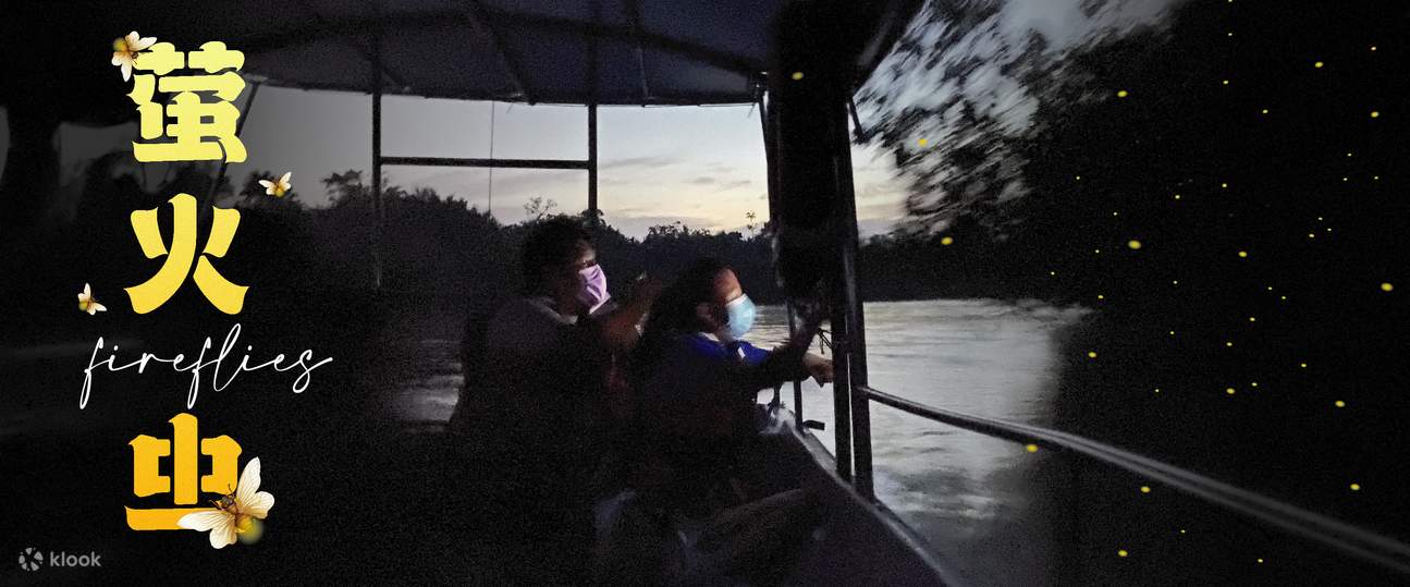 Kuala Selangor Eagle Feeding, Fireflies and Blue Tears Tour - Klook