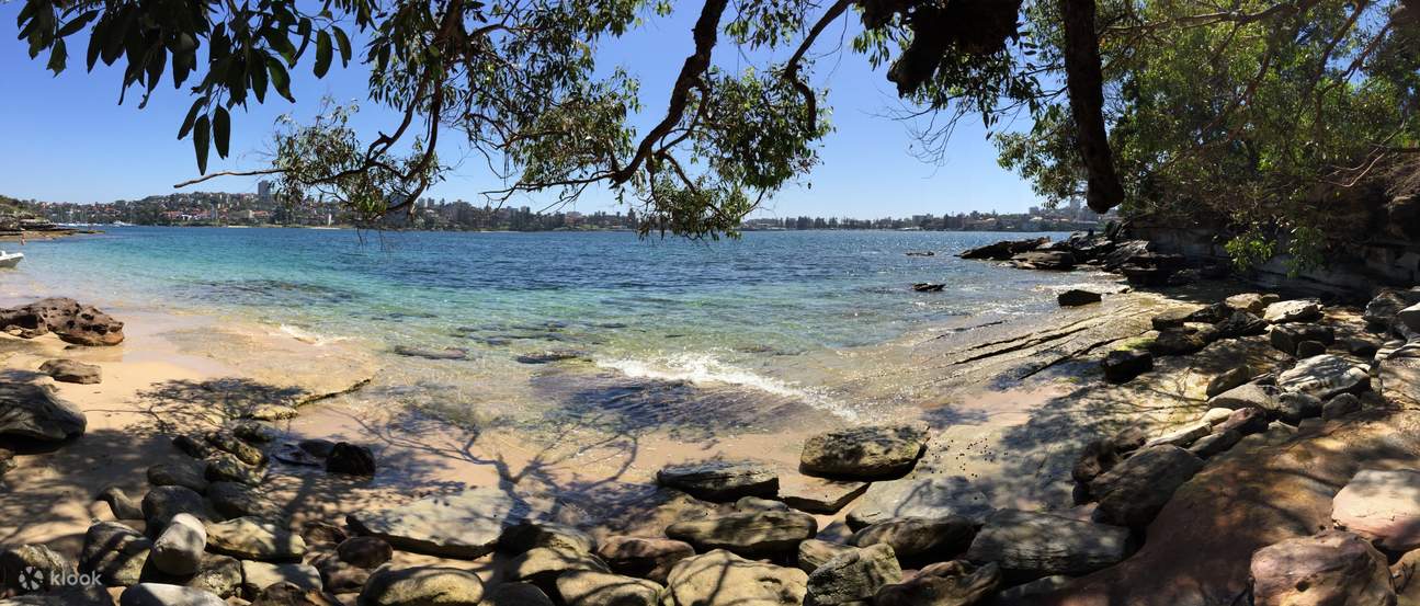 Manly Beach Kayaking Tour - Klook
