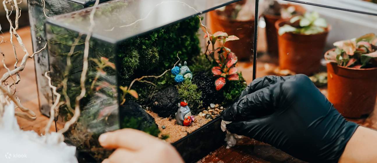 Soilless Terrarium DIY Workshop (Naug Studio Southkey Outlet) - Klook ...
