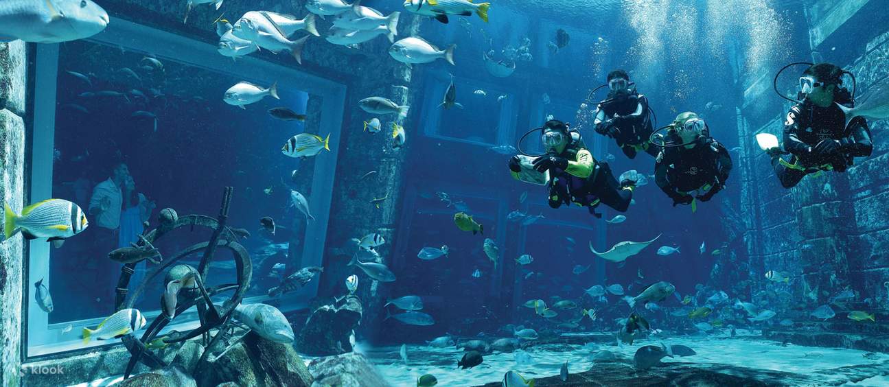 失落的空間水族館迪拜亞特蘭蒂斯探索水肺潛水體驗 Klook 客路
