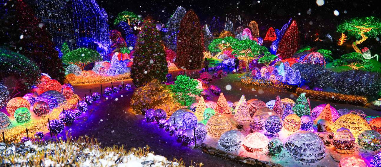 Nami Island / Petit France & Italy Village / Gangchon Rail Bike Tour - Klook Singapore