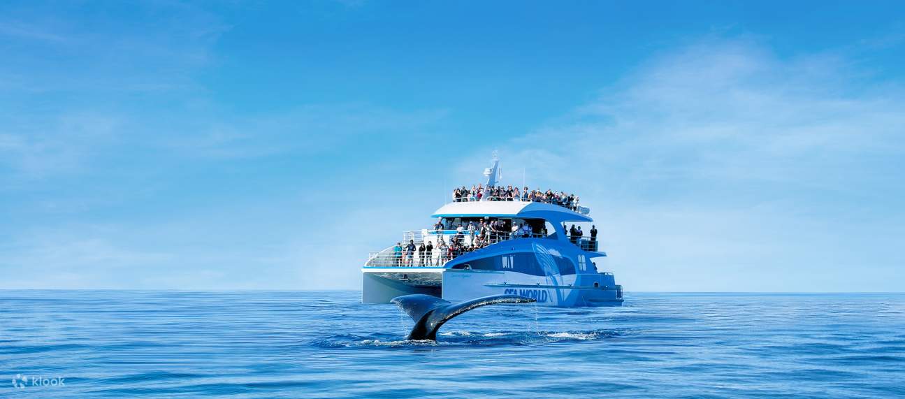 Sea World Whale Watching Cruise - Klook Australia