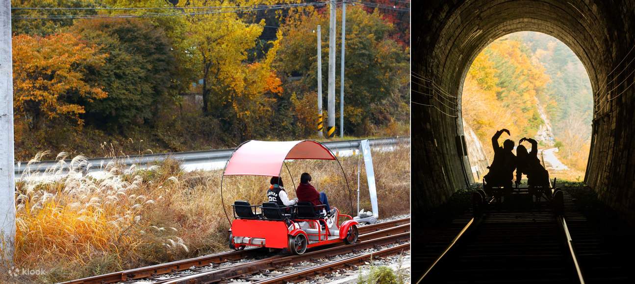 Nami Island & Nijimori Japan & Morning Calm & Railbike & Alpaca - Klook