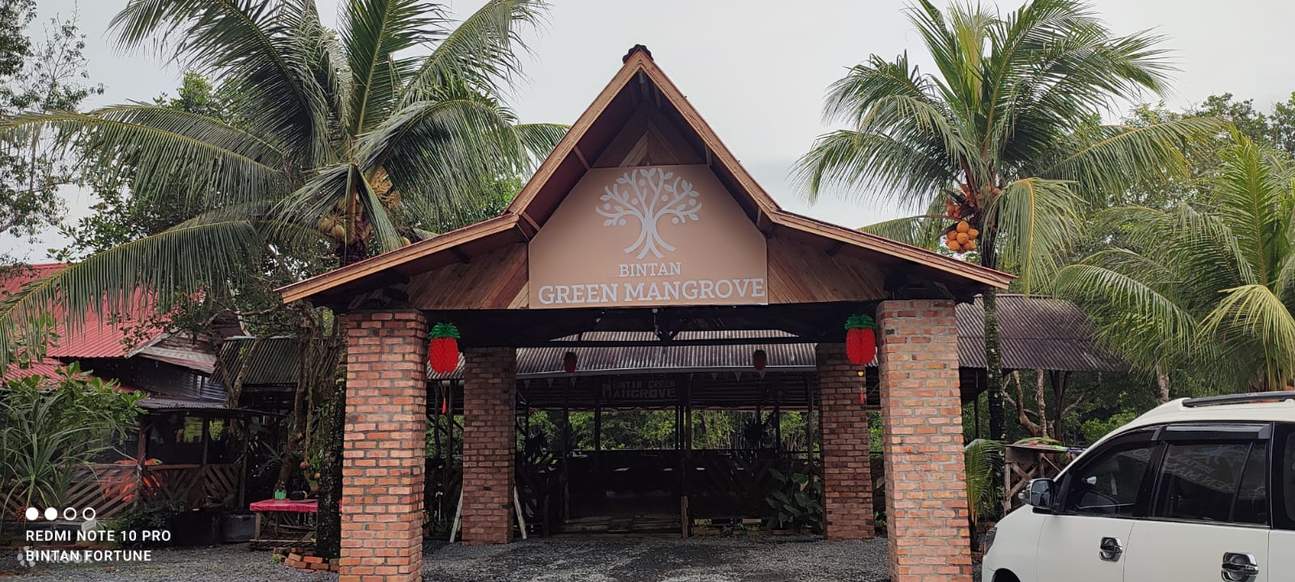 Bintan Mangrove atau Fireflies Discovery Tour - Klook Indonesia
