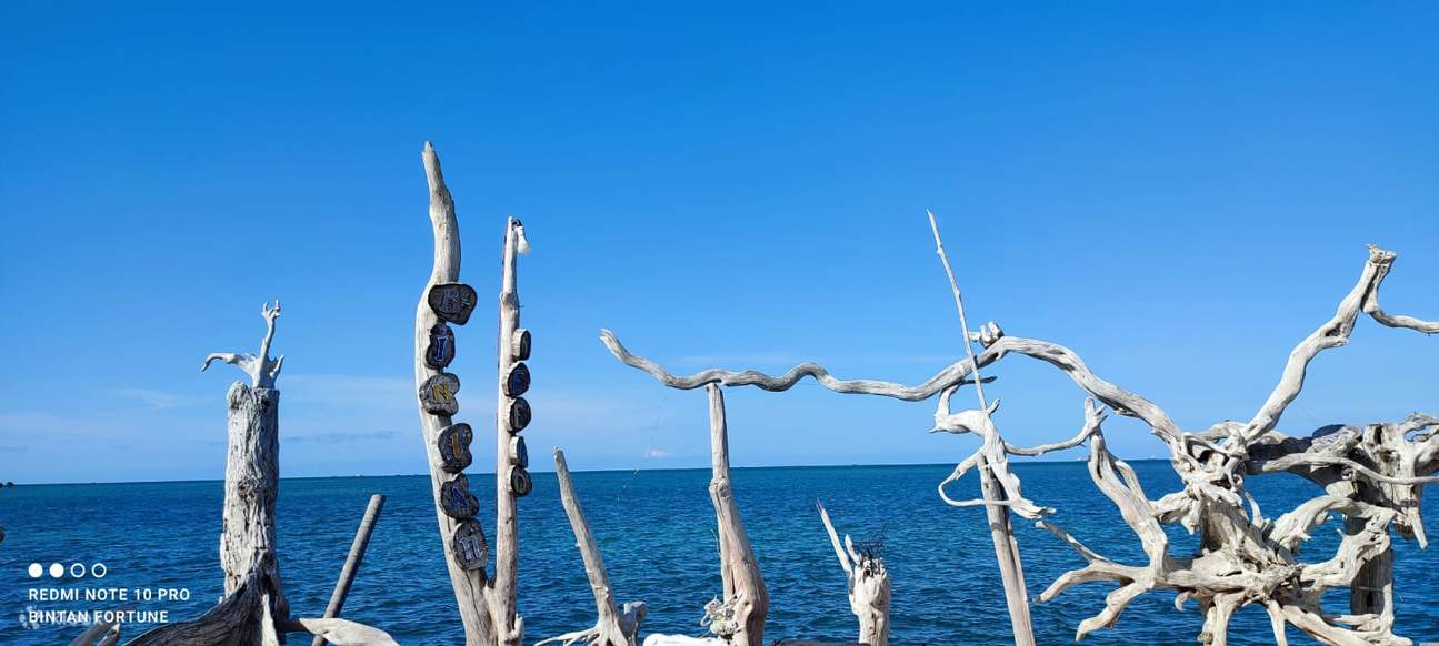 Snorkeling, Kayaking & Fun Fishing Bintan Tour at White Sand Island ...