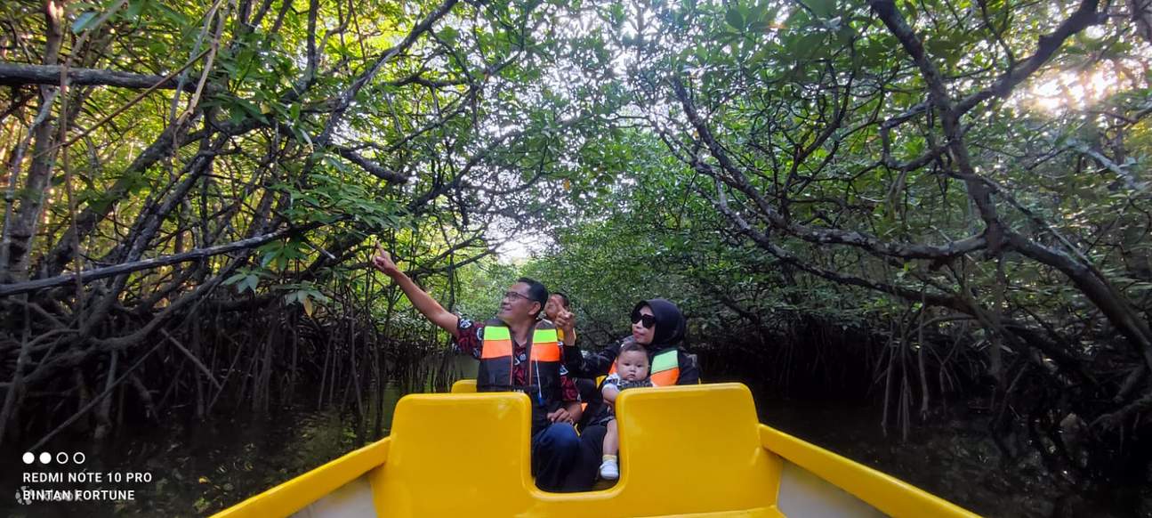 Bintan Mangrove atau Fireflies Discovery Tour - Klook Indonesia