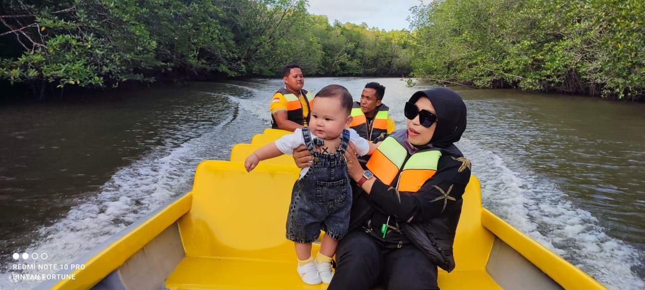Bintan Mangrove or Fireflies Discovery Tour - Klook