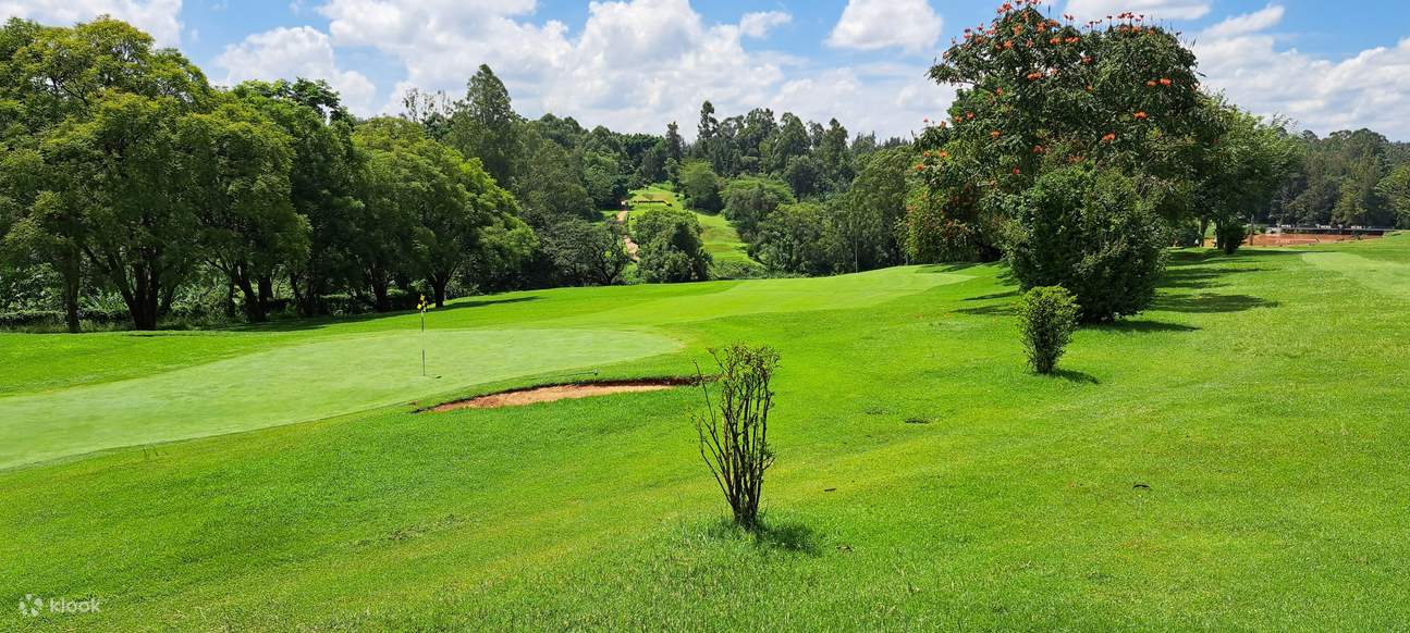 Golf and Safari Adventures in Kenya - Klook United States