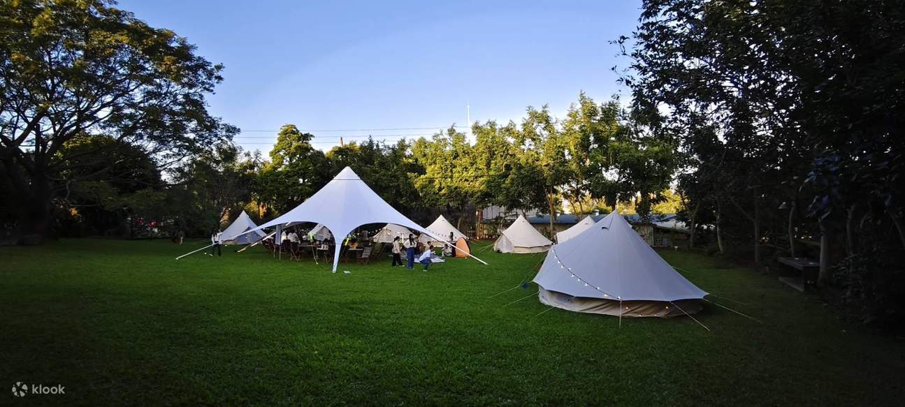 Miaoli | Golden Rice Terraces Campground | Glamping - Klook United Kingdom