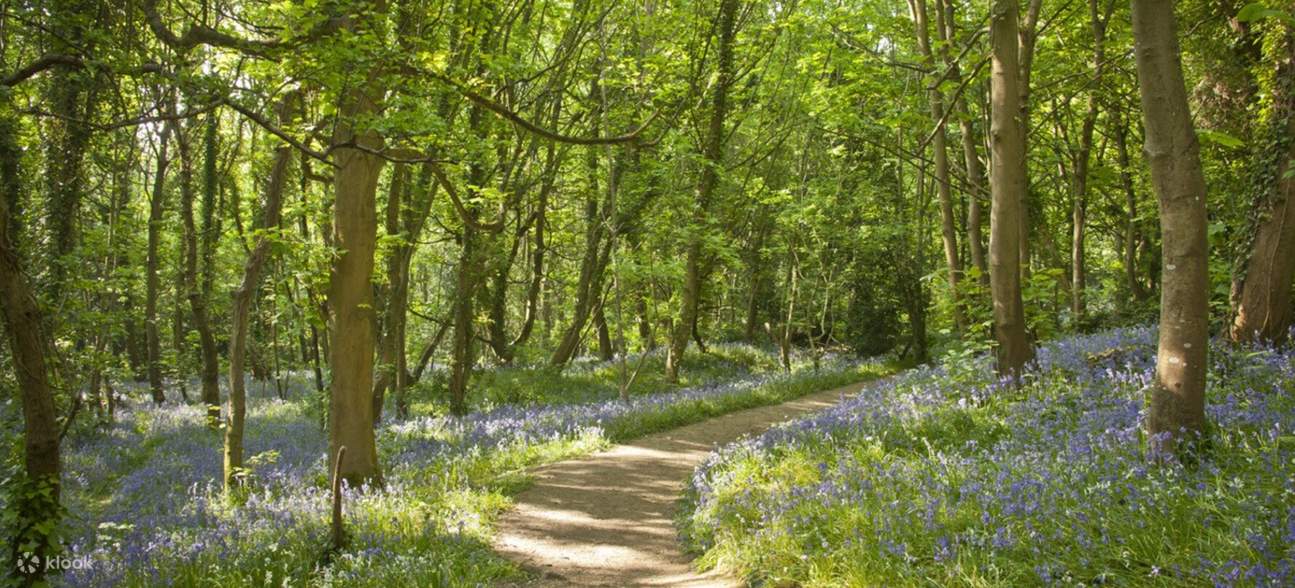 Guernsey: Half-Day Island Shore Excursion Tour - Klook Hong Kong