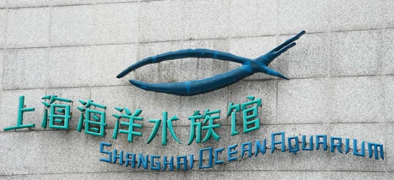 Shanghai Luxury One-Day Tour (All Tickets Included + Oriental Pearl ...