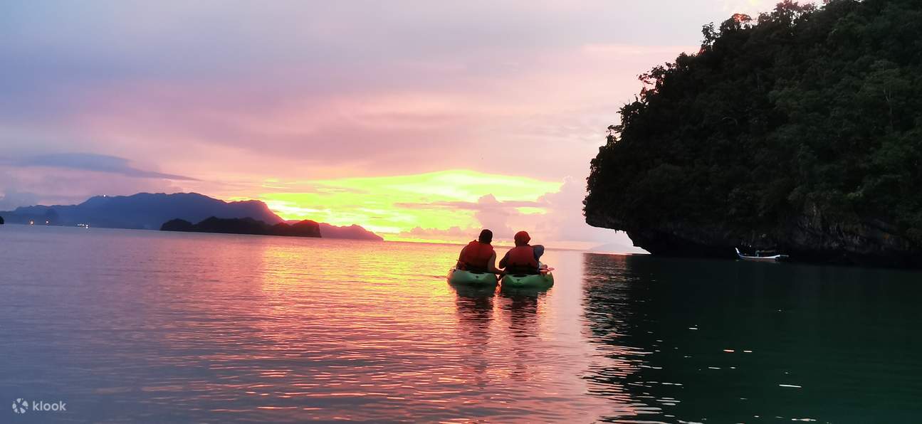 Mangrove Kayaking (Day or Sunset) Tour in Langkawi - Klook Singapore