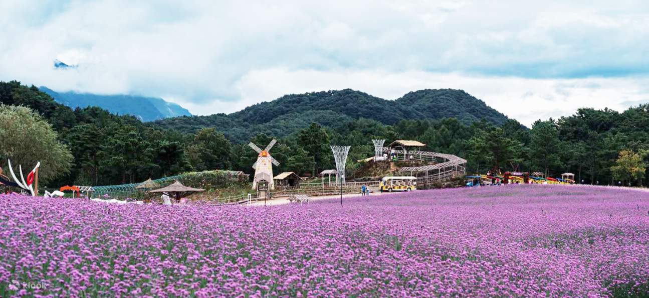Cheolwon Canyon & Seasonal Hot Attractions One Day Tour - Klook Australia