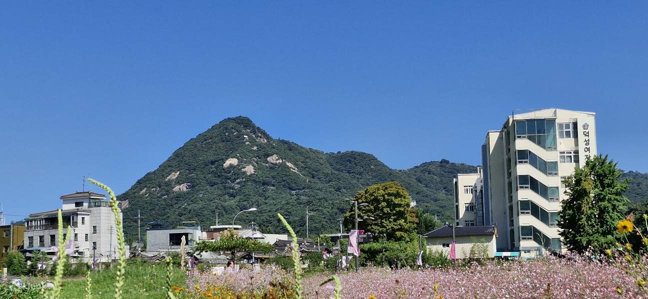 Bukchon/Bugaksan Walking Tour(Love Next Door shooting Places) - Klook