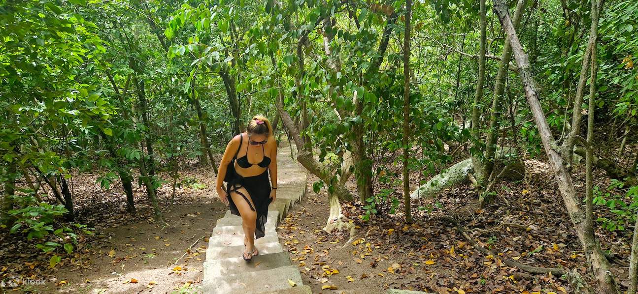 Koh Pha Ngan/Koh Samui: Koh Tao & Nang Yuan Boat Tour with Lunch ...