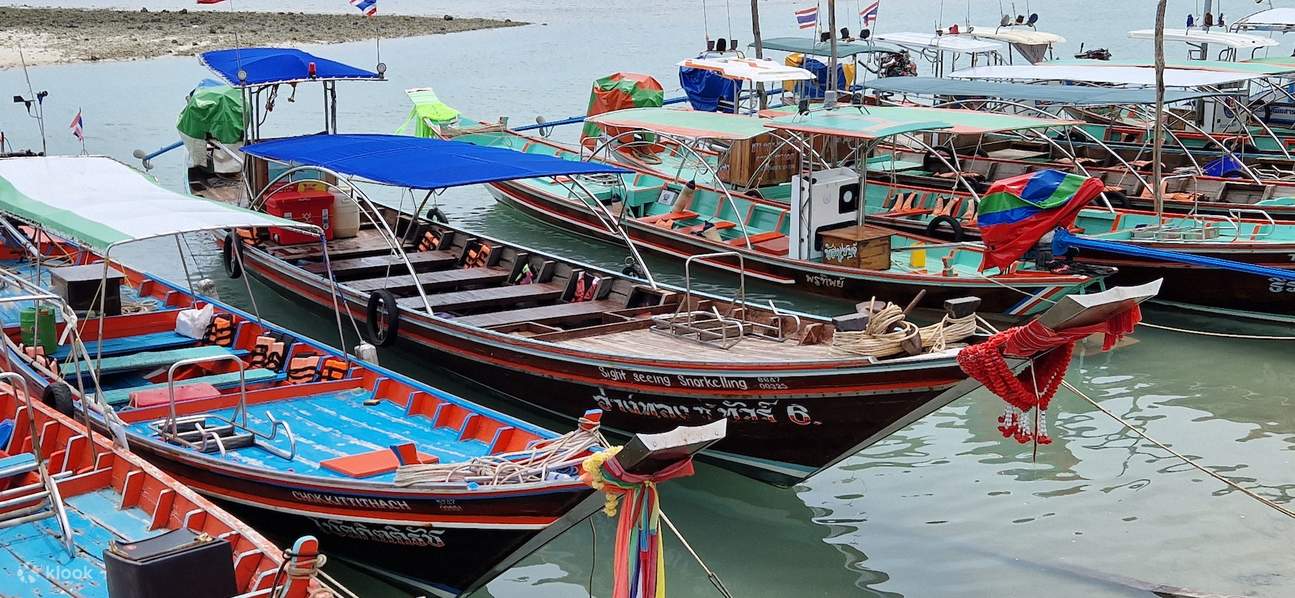 Koh Samui: Private Longtail Tour to Pig Island with Snorkel - Klook