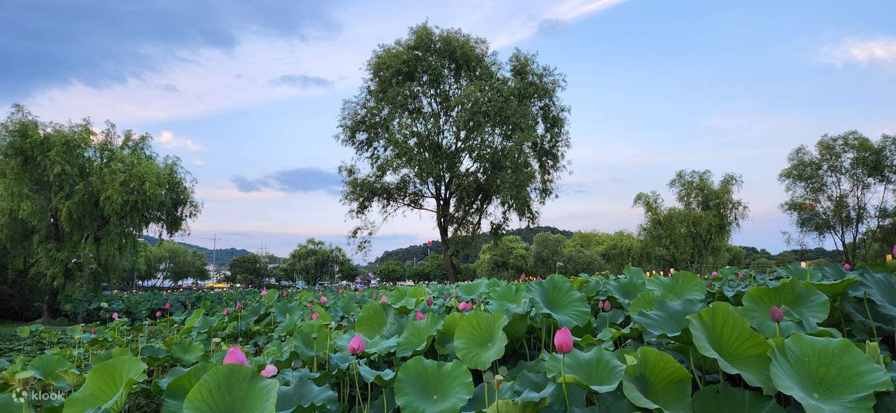 Buyeo Baekje Kingdom One Day Tour - Klook Canada