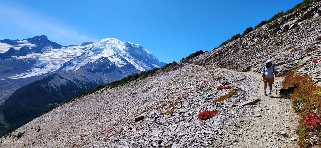 Mount Rainier Day Hike With Transport From Seattle - Klook Singapore