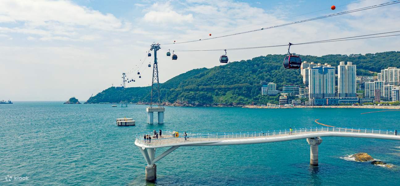 Small Group Full Day Busan Tour (Max. 6 pax) - Klook Singapore