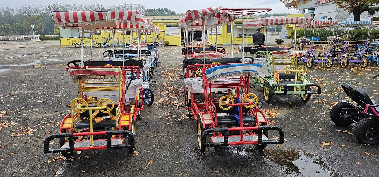 首爾京畿道秋季郊遊賞花一天團 - 楊州Nari公園+馬場湖水+高陽Starfield+恩平韓屋村 - Klook香港