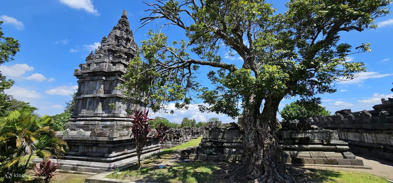 Yogyakarta UNESCO Temples & Semarang City Tour from Semarang Port ...