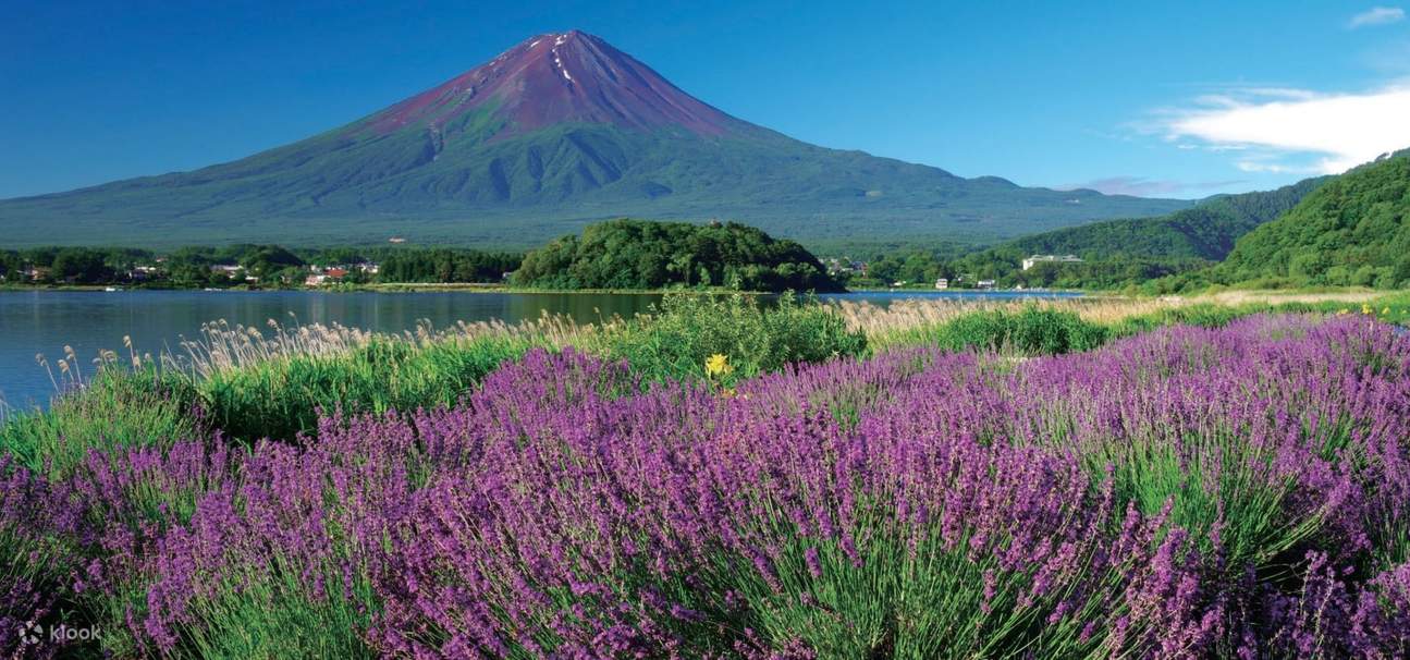 [Muslim-friendly | Mount Fuji Day Tour] Arakurayama Sengen Park + Fuji ...