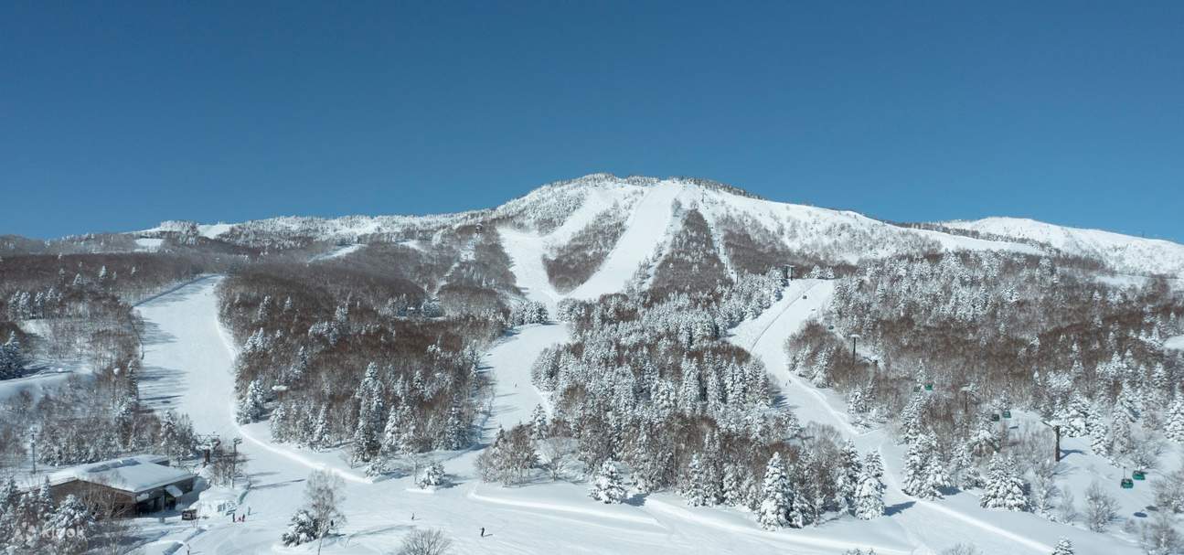 2 Day Jigokudani Snow Monkey Park and Nagano Ski Resorts Bus Tour from ... 2 Day Jigokudani Snow Monkey Park and Nagano Ski Resorts Bus Tour from ...
