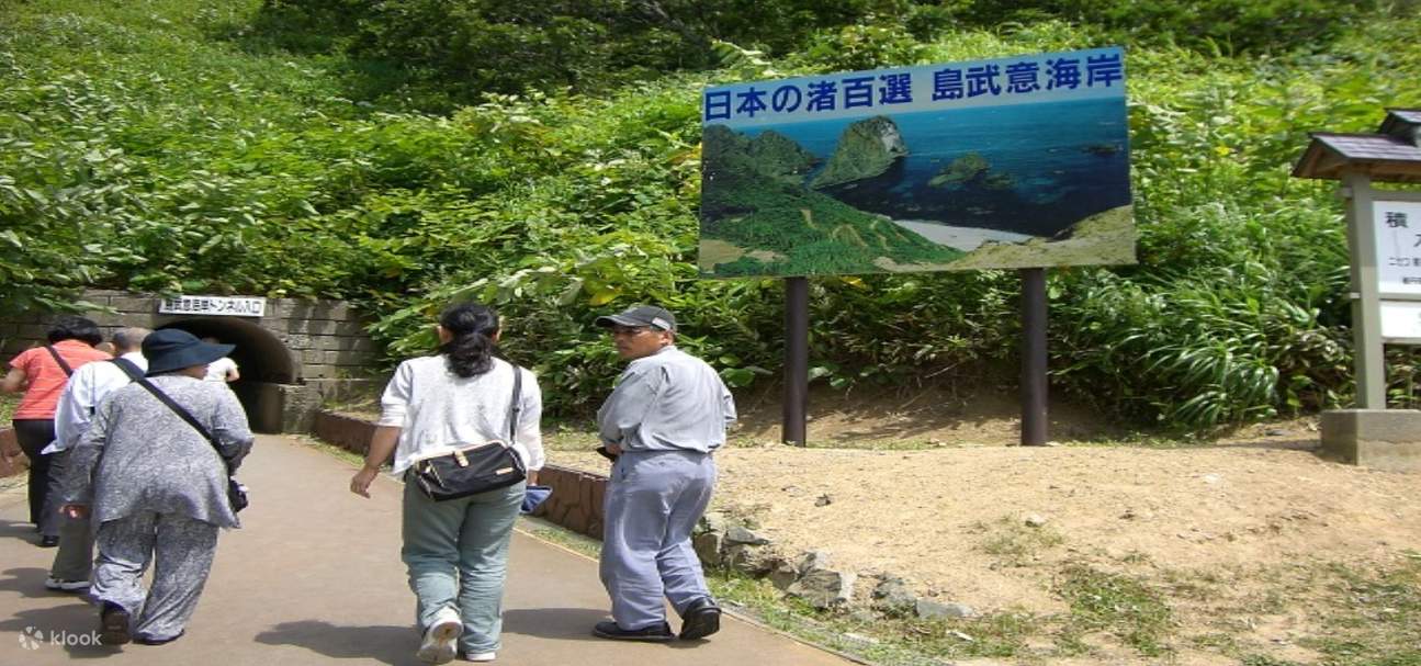 Scenic Cape Kamui & Shimamui Coast in Shakotan & TV Tower ticket ...