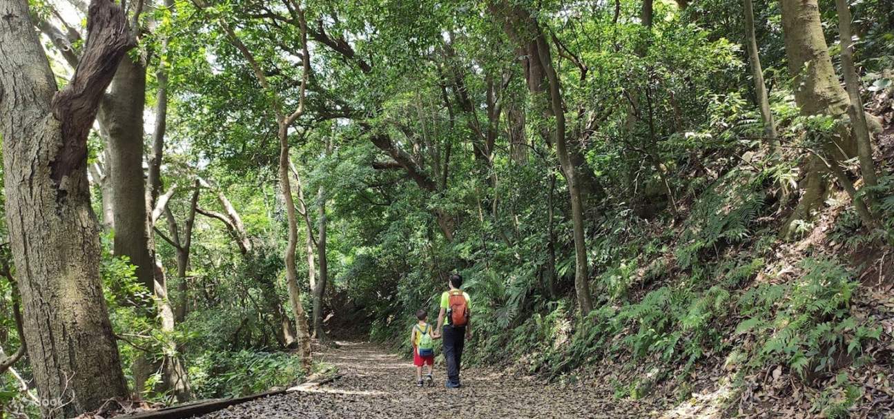 "Blue Wonderland" Exploring Taipei's Blue Spring and Tianmu Ancient ...