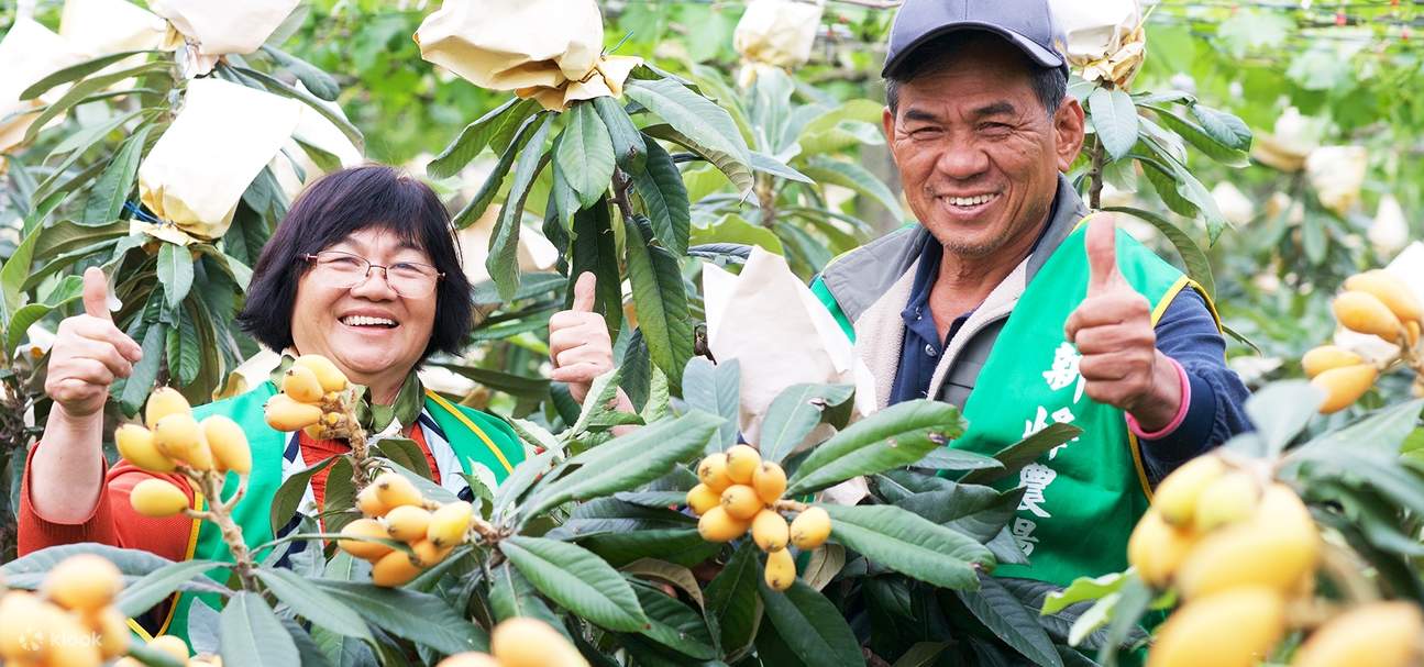 General Coupon for Fruit Picking Experience in Central Taiwan - Klook ...
