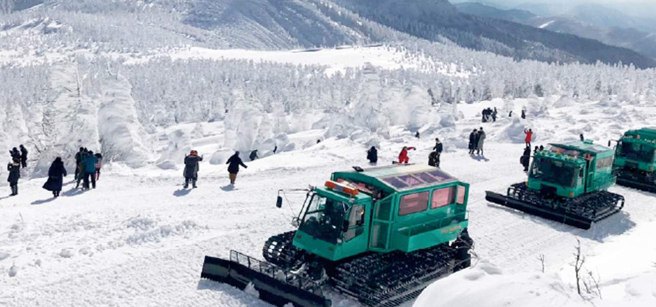 Zao Juhyo & Zao Fox Village One-Day Tour (Departing from Sendai) - Klook