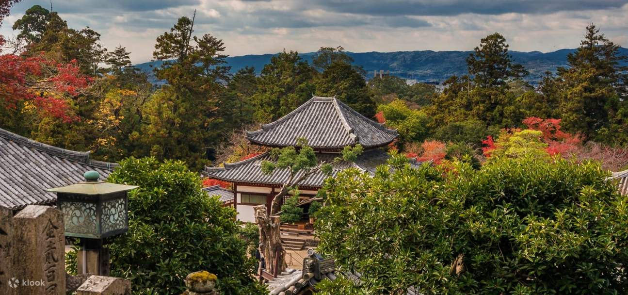 Nara Day Tour kasama ang Lokal na Gabay mula sa Osaka - Klook Pilipinas