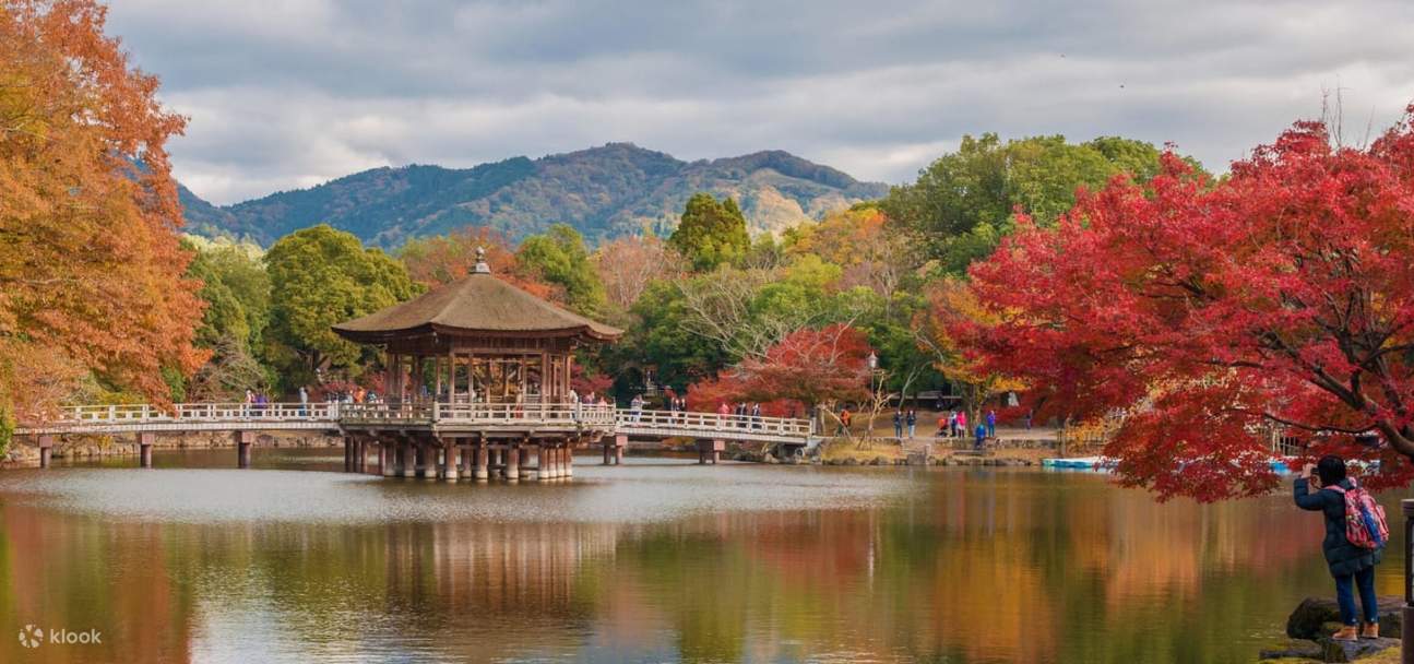 Nara Day Tour kasama ang Lokal na Gabay mula sa Osaka - Klook Pilipinas