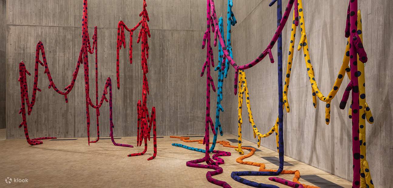 M+ Admission Ticket - Klook India