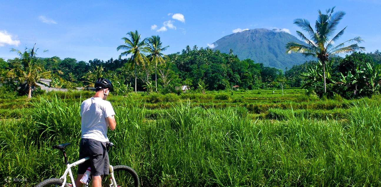 Chiang Mai Rice Fields Biking Tour - Klook