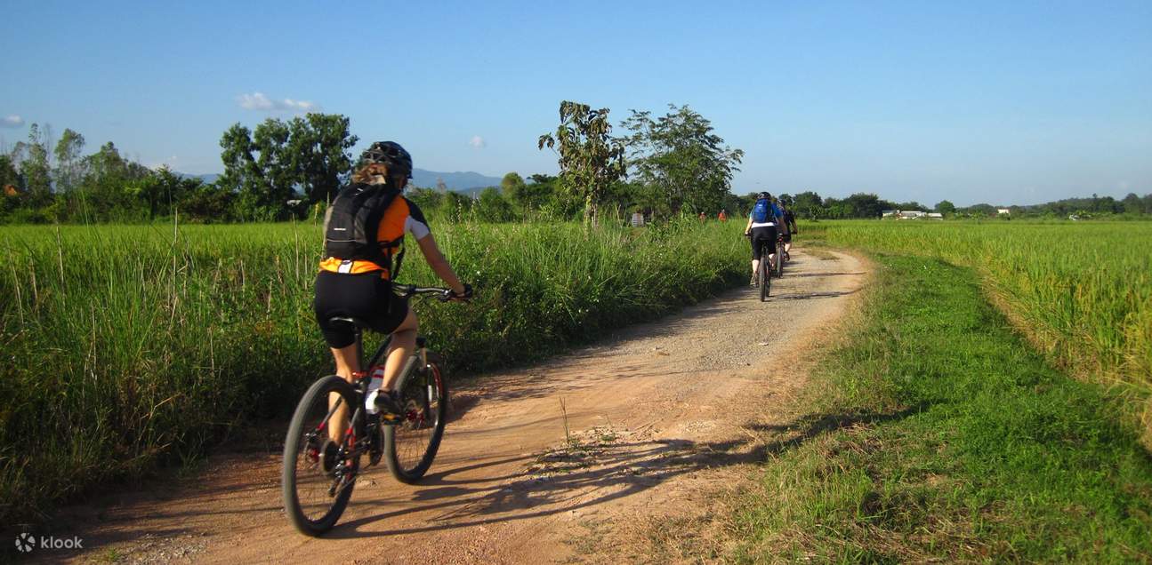 Chiang Mai Rice Fields Biking Tour - Klook