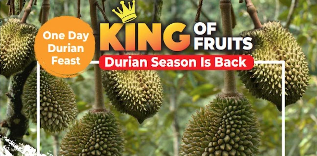 All You Can Eat Durian Buffet in JB - Klook Canada
