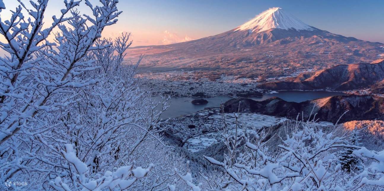 One-day tour of Mount Fuji with popular check-ins - Mount Fuji 5th ...