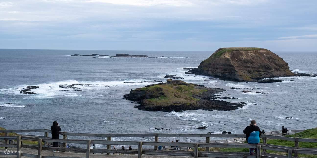 Phillip Island One Day Tour - Klook Australia