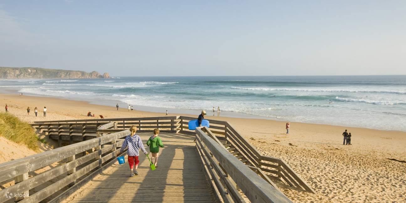 Phillip Island One Day Tour - Klook Australia