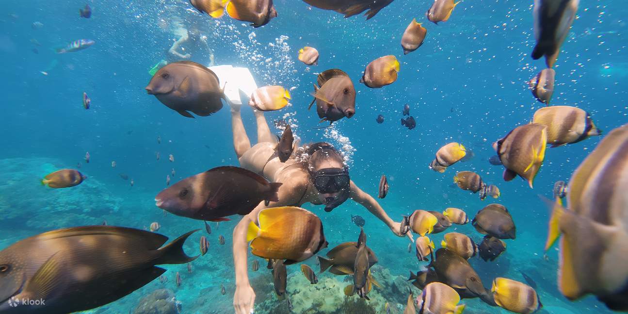 Sea Scooter Snorkeling Experience in Nusa Penida Bali - Klook New Zealand