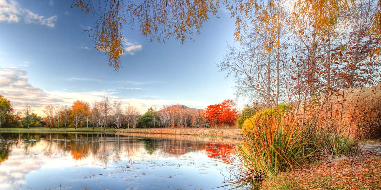 Mystery Picnic in Canberra South of the Lake - Klook