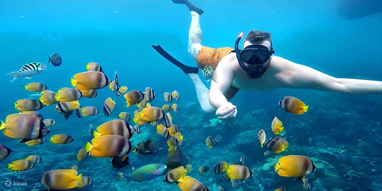 Snorkeling Experience in Nusa Penida (4 Snorkeling Spots) - Klook Australia