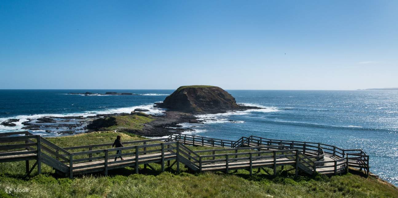 Phillip Island One Day Tour - Klook United States