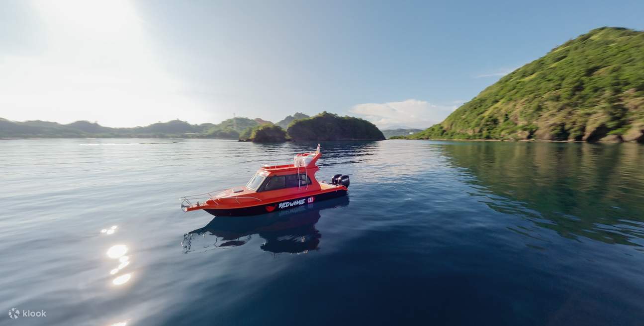 Lawatan Sehari Penuh Bot Laju Paus Merah dari Labuan Bajo - Klook ...